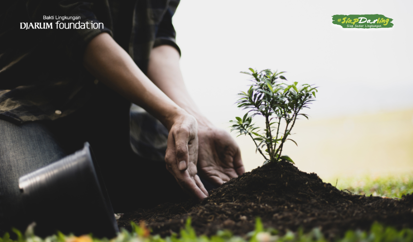 Hari Gerakan Satu Juta Pohon, Yuk Tanam Pohon dan Selamatkan Bumi!